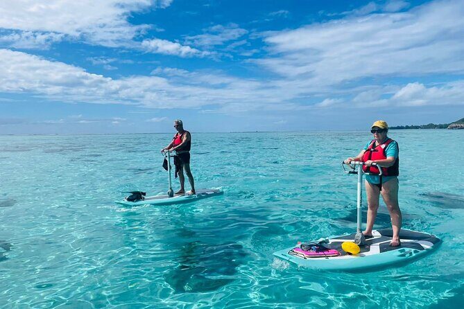 Private Excursion with E-Board in Moorea with snorkeling - Final Thoughts