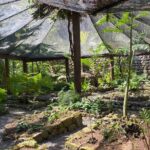 Private Fiji Tour - Authentic Experiences and Practical Tips