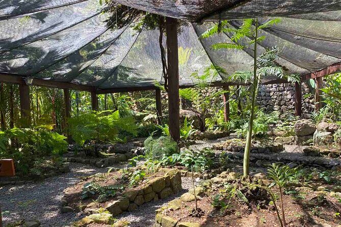 Private Fiji Tour - Authentic Experiences and Practical Tips