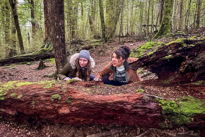 Private Full Day Lord of the Rings Mavora Lakes Adventure! - Practical Tips for Booking and Enjoying