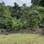 Private full day tour around Tahiti: the island's nature wonders - Authentic Experiences and Practical Tips