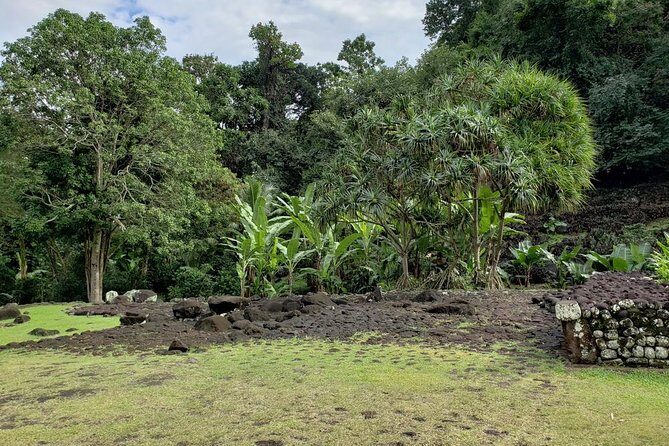 Private full day tour around Tahiti: the island's nature wonders - Authentic Experiences and Practical Tips