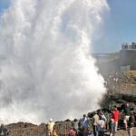 Private Full-Day Tour in Sydney - Analyzing the Value