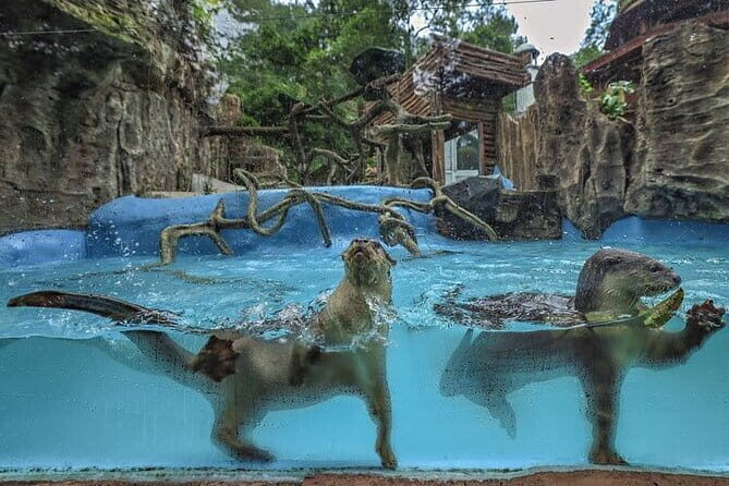 Private Full Day Trip to Taman Safari From Jakarta - Who This Tour Is Best For