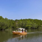 Private Gondola Cruise with Lunch and Picnic - The Itinerary: A Gentle Exploration of Mangrove Forests
