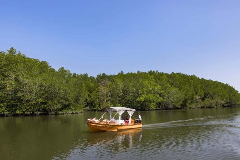 Private Gondola Cruise with Lunch and Picnic - The Itinerary: A Gentle Exploration of Mangrove Forests