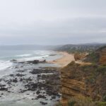Private Great Ocean Road Day Trip from Melbourne - Kennett River — Wildlife Spotting