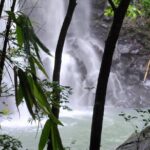 Private Guided Adventure in Nadi with Pick-up - What to Expect from the Tour
