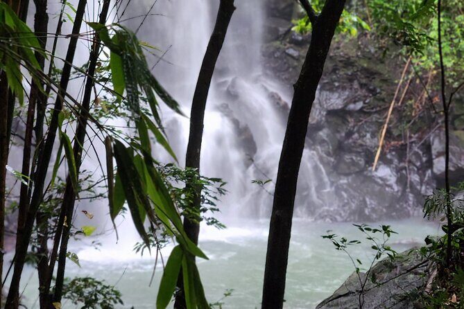Private Guided Adventure in Nadi with Pick-up - What to Expect from the Tour