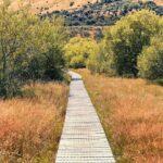 Private Guided Encounter Glenorchy Tour - Who Should Consider This Tour?