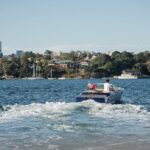 Private Guided Luxury Cruise on Sydney Harbour Tour - Authentic Perspectives from Reviewers