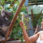 Private Guided Tour: Blue Mountains Tour from Sydney - What We Love About This Tour