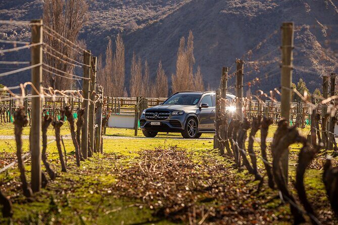 Private Guided Wine Tour Ex Queenstown - Practical Details and Tips
