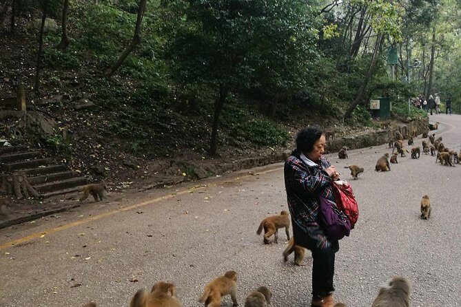 Private Guiyang Day Tour including Qingyan Ancient Town and Qianling Park - How the Experience Feels in Practice