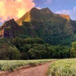 Private Half-Day Hike in the Opunohu Valley in Moorea - Practical Tips for Making the Most of Your Hike