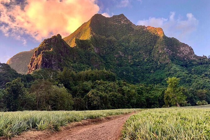 Private Half-Day Hike in the Opunohu Valley in Moorea - Practical Tips for Making the Most of Your Hike