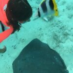 PRIVATE HALF DAY LAGOON TOUR - Bora Bora Cultural Lagoon Tour - What to Expect from the Experience