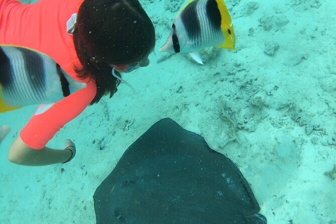 PRIVATE HALF DAY LAGOON TOUR - Bora Bora Cultural Lagoon Tour - What to Expect from the Experience