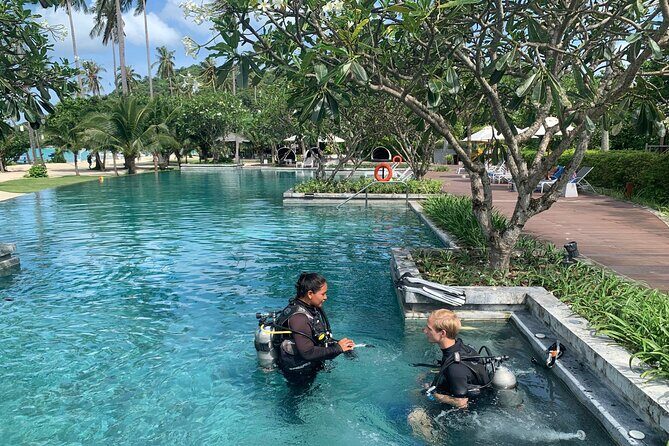 Private Half-Day Scuba Diving with expert (1Dive) - The Itinerary: What to Expect from Start to Finish
