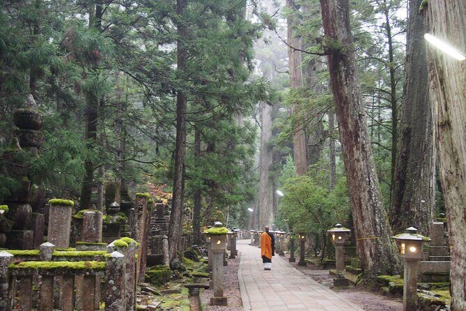 Private Half- Day Tour in Wakayama Koyasan - Who Will Enjoy This Tour?
