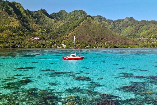 PRIVATE Half Day Tour : Moorea Snorkeling & Sailing on a Catamaran named Taboo - The Review Highlights: Authentic Voices