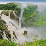 Private Half Day Tour: World Heritage Rainforest & Waterfall - Whats Included and What to Consider