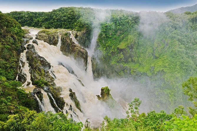 Private Half Day Tour: World Heritage Rainforest & Waterfall - Whats Included and What to Consider