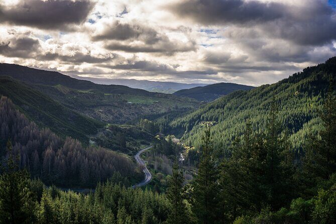 Private Hawkes Bay Geothermal Hot Pools Hike - Day 2: Morning Refresh and Return Journey