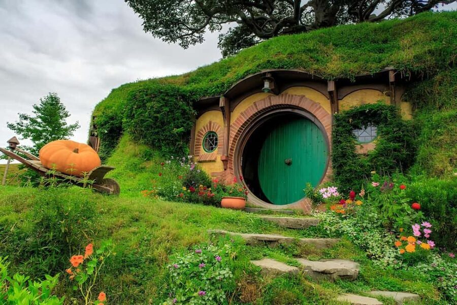 Private Hobbiton & BlueSprings & Redwood forest fromAuckland - Introduction: A Private Day of Iconic Sights