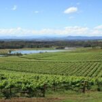 Private Hunter Valley Wine-Tasting Day Tour from Sydney - What Sets This Tour Apart?