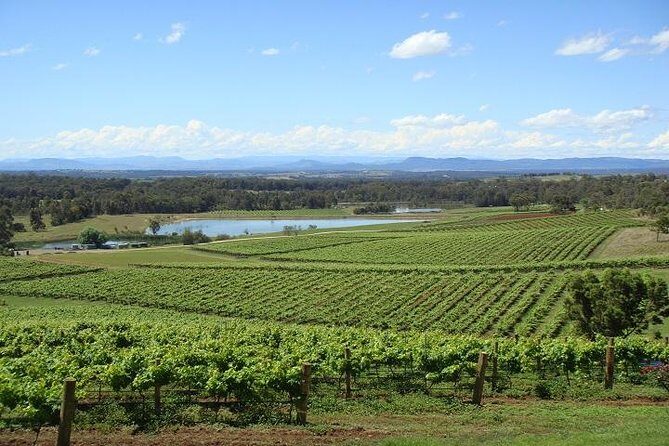 Private Hunter Valley Wine-Tasting Day Tour from Sydney - What Sets This Tour Apart?