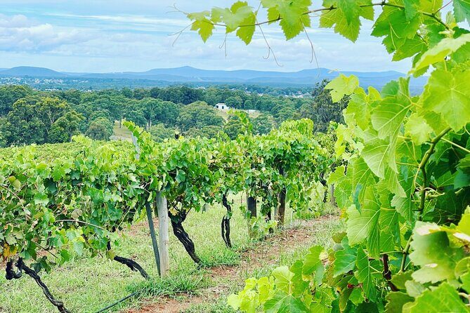 Private Hunter Valley Wine Tasting Tour from Sydney - Who Should Consider This Tour?