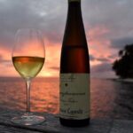 Private - Introduction to wine - Bora Bora Wine Tastings - An in-depth look at the Bora Bora Wine Tasting Experience