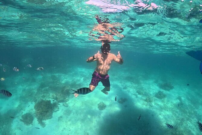 Private Island Hopping from Port Barton with Turtle Watching - The Itinerary Breakdown