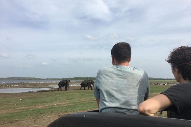 Private Jeep Safari at Minneriya National Park - The Practical Side: Cost, Booking, and Tips