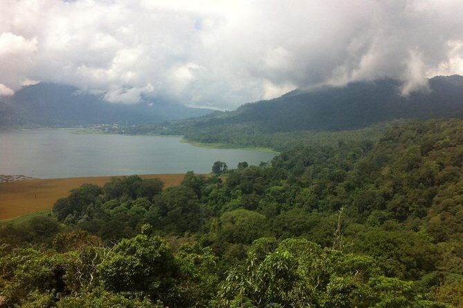 Private Jungle Trekking Tour with Tamblingan Lake Canoeing - The Real Experience: What Travelers Say