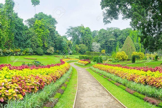 Private Kandy Day Tour from Colombo - Practical Aspects: Transportation and Guide