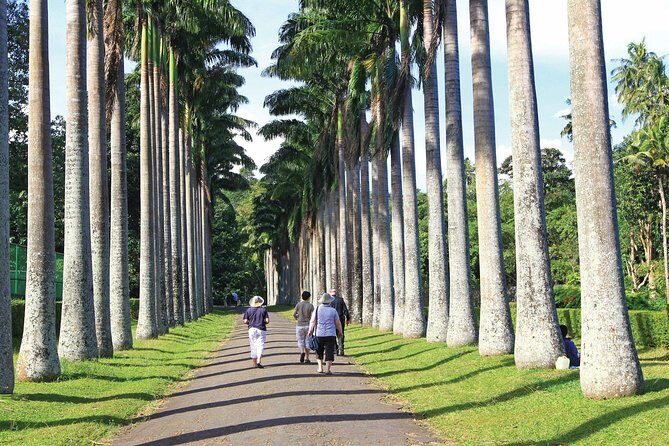 Private Kandy Tour by Air-Conditioned Car: Do it All in One Day - How Does It All Fit?