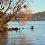 Private Lake Taupo Tour - Auckland Tour House - Who Should Consider This Tour?
