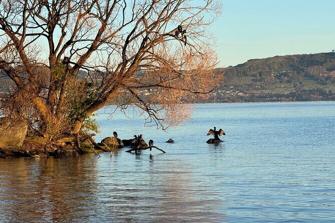 Private Lake Taupo Tour - Auckland Tour House - Who Should Consider This Tour?
