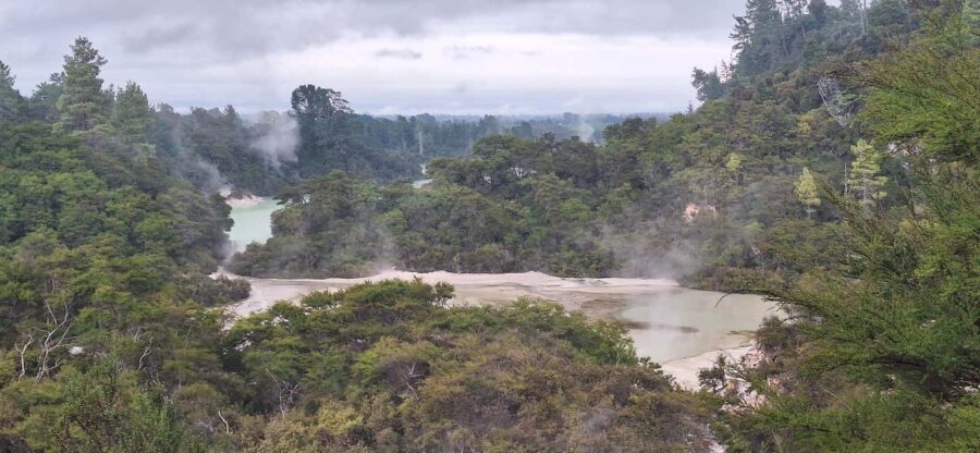 Private Luxury Auckland - Rotorua Geothermal Wonderlands - What Makes This Tour Stand Out
