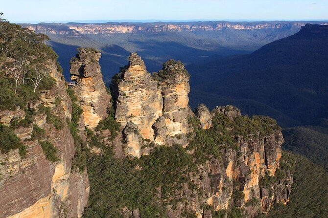 Private Luxury Blue Mountain Tour with Wildlife and River Cruise - What Past Travelers Say