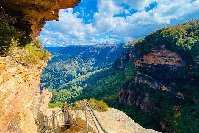 PRIVATE Luxury Blue Mountains & Wildlife Encounters Tour (10 hrs) - Final Thoughts