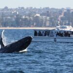 Private Luxury Intimate Whale Watching - Pricing and Value