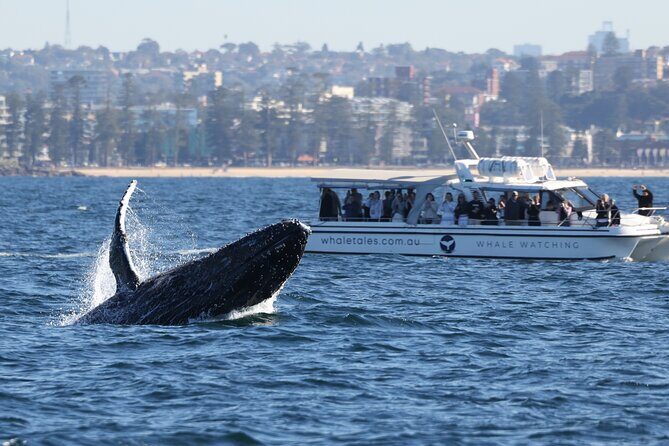 Private Luxury Intimate Whale Watching - Pricing and Value
