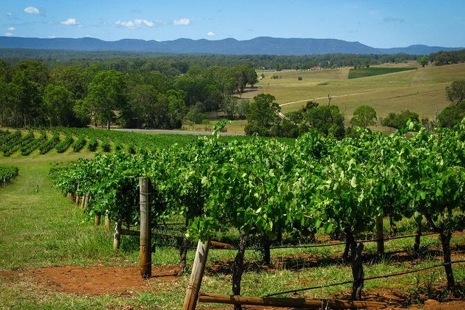 Private Luxury Tour: Tastes of the Hunter Valley - Price and Value