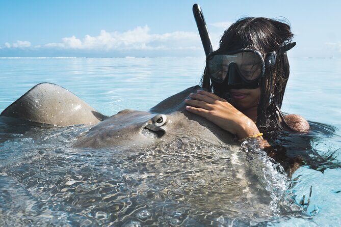 Private Marine Wildlife Adventure with Underwater Photography - Who Should Book This Tour?