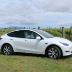 Private Martinborough Wine Tour in an Electric Vehicle - Tesla Model Y - Detailed Breakdown of the Itinerary