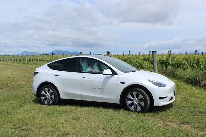 Private Martinborough Wine Tour in an Electric Vehicle - Tesla Model Y - Detailed Breakdown of the Itinerary