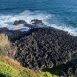 Private Melbourne Tour: Phillip Island and Chocolate Factory - The Real Value of This Experience